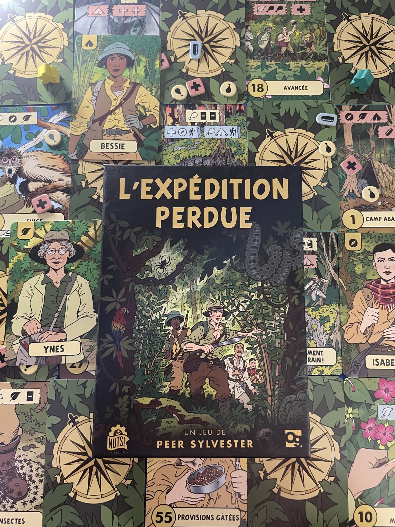 De l'aventure en solitaire : voici 6 jeux de société solo à posséder ...
